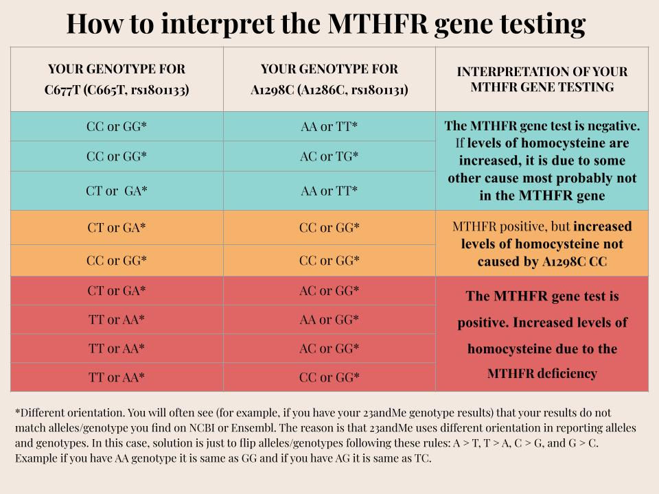 𧬠π§π½βπ¬ All You Need To Know About Mthfr Gene