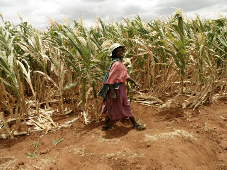Agricultural Extension Officer provides farmers with drought management ...
