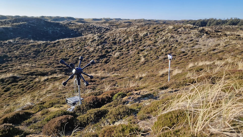 Acoustic Drone Detection