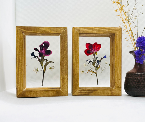 זוג פרחי גרניום | Talia Flowers