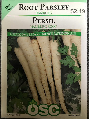 Racine de persil hamburg | JardinsMarieVictorin