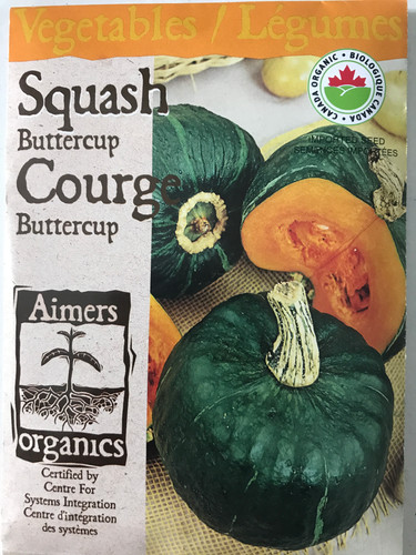 Courge Buttercup | JardinsMarieVictorin