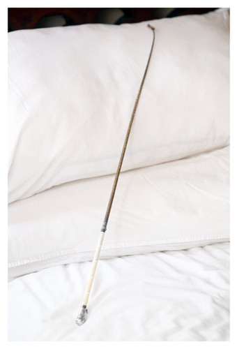 19th Century Whalebone Side Saddle Whip | Evoke Erotes