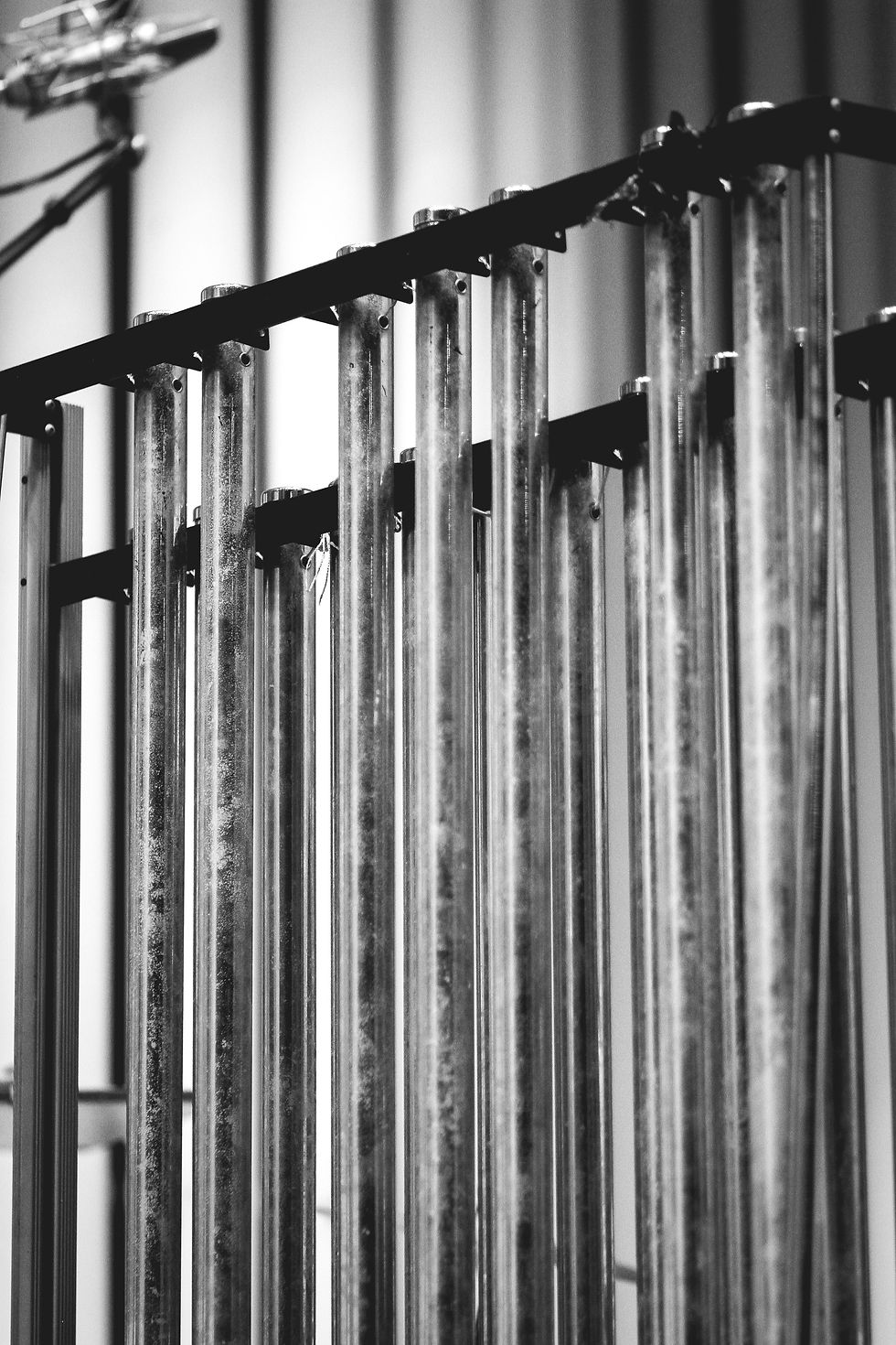 The Letter: A Message For Our Earth