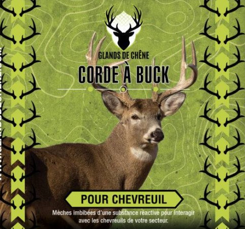 GLANDS DE CHENE CORDE A BUCK CHEVREUIL | Montagnard