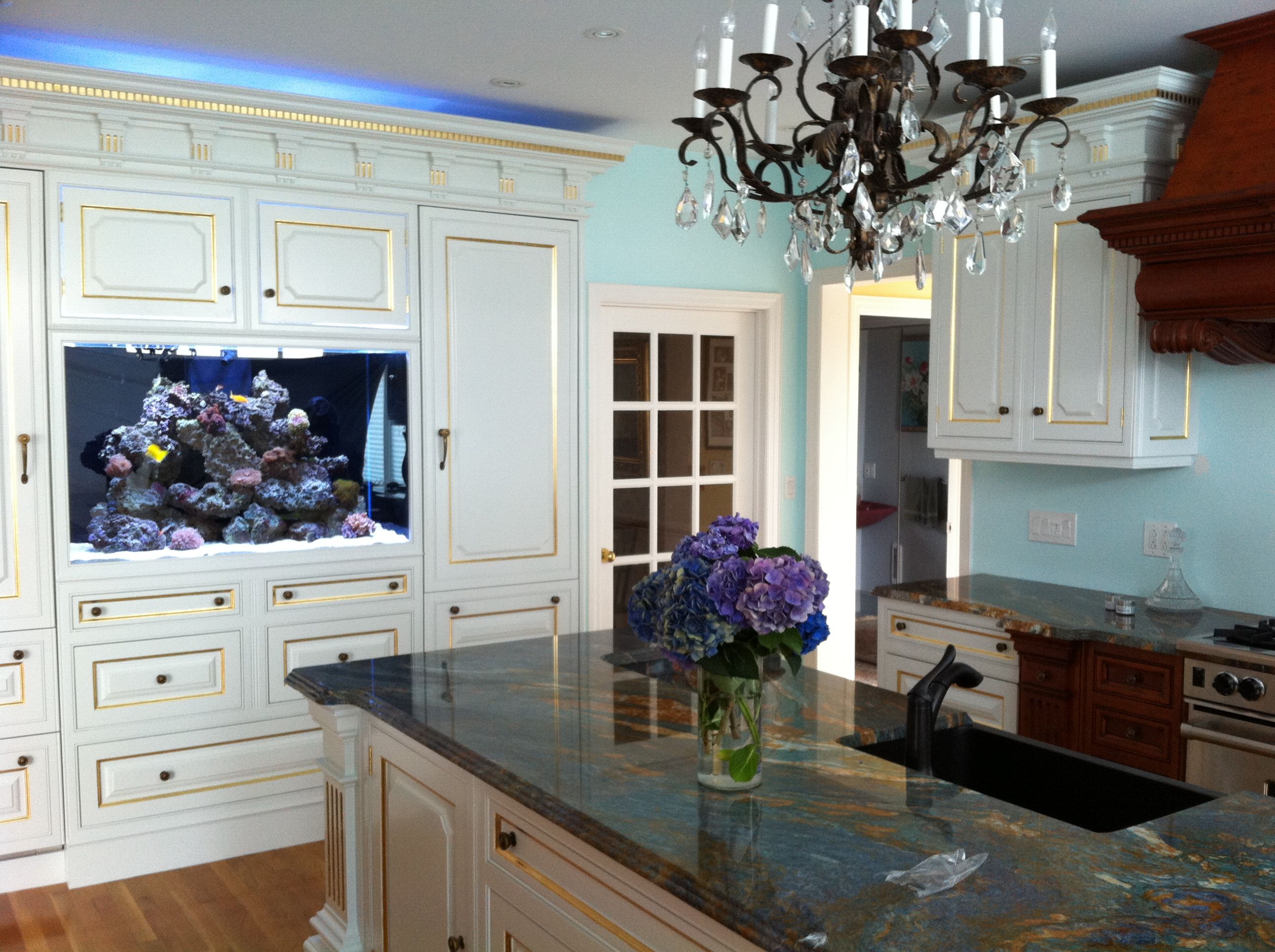 Custom Aquariums | somethingfishyinc_website