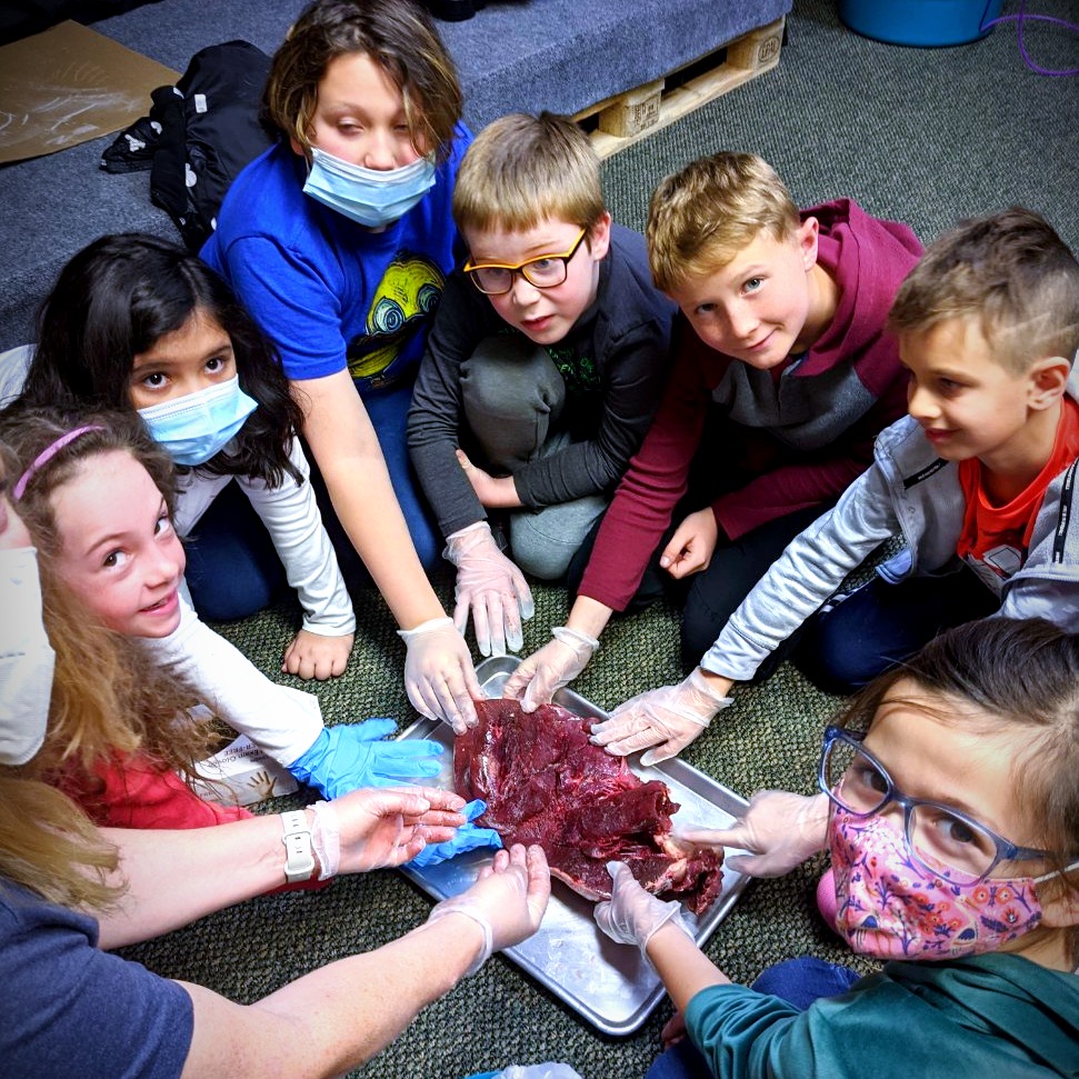 Experiential Learning: Exploring Hands on, Gifted and Talented Learning