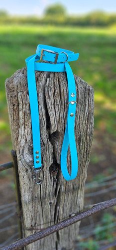Waterproof BioThane® Dog Collar & Dog Lead - Baby Blue (Neon Blue ...