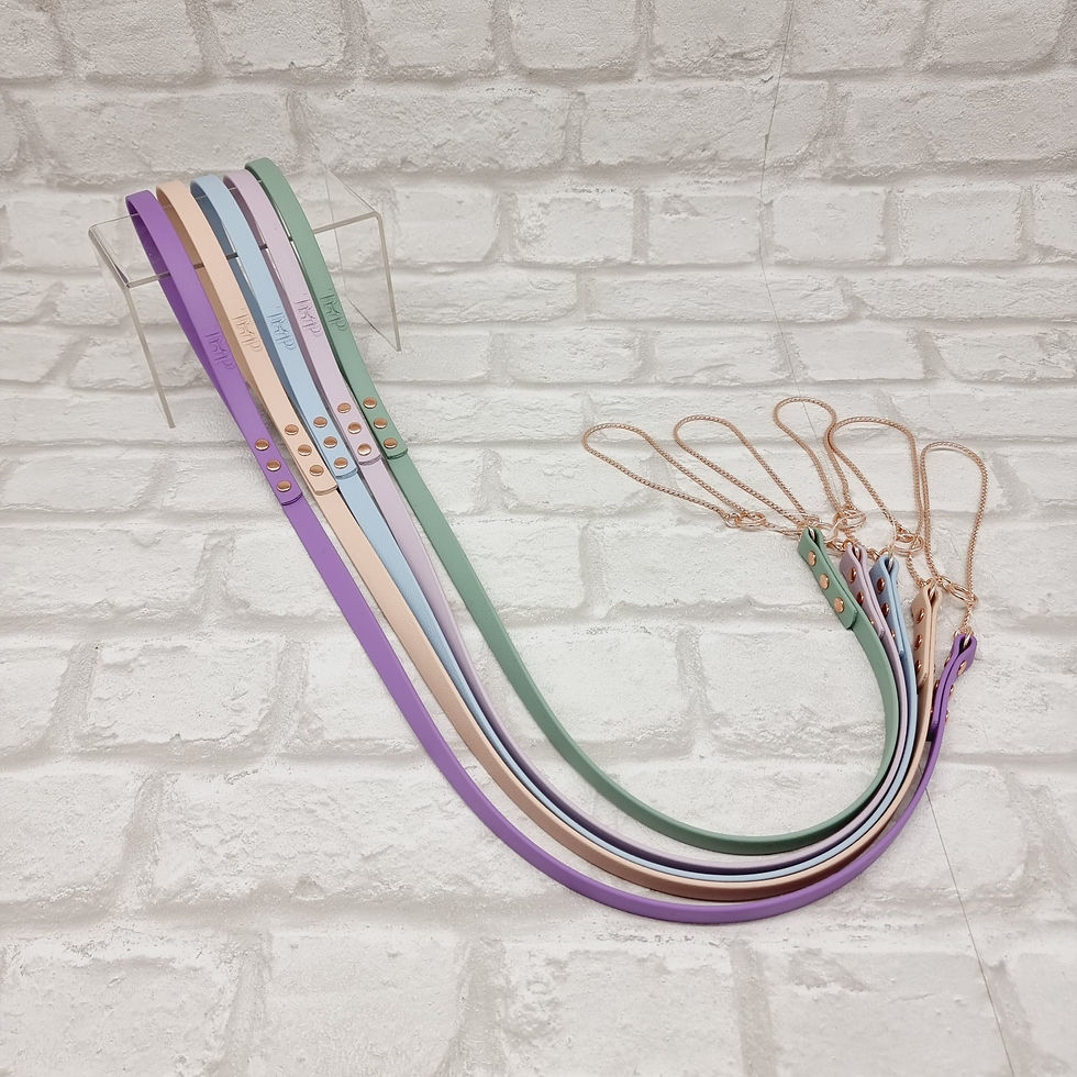 BioThane® Slip Chain Dog Show Collar & Lead Set | Trinkety Paws