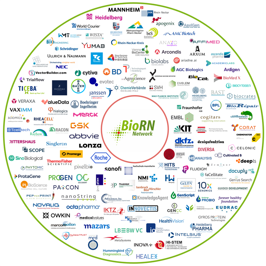 Members Overview | Heidelberg | BioRN - Life Science Cluster Rhine-Neckar