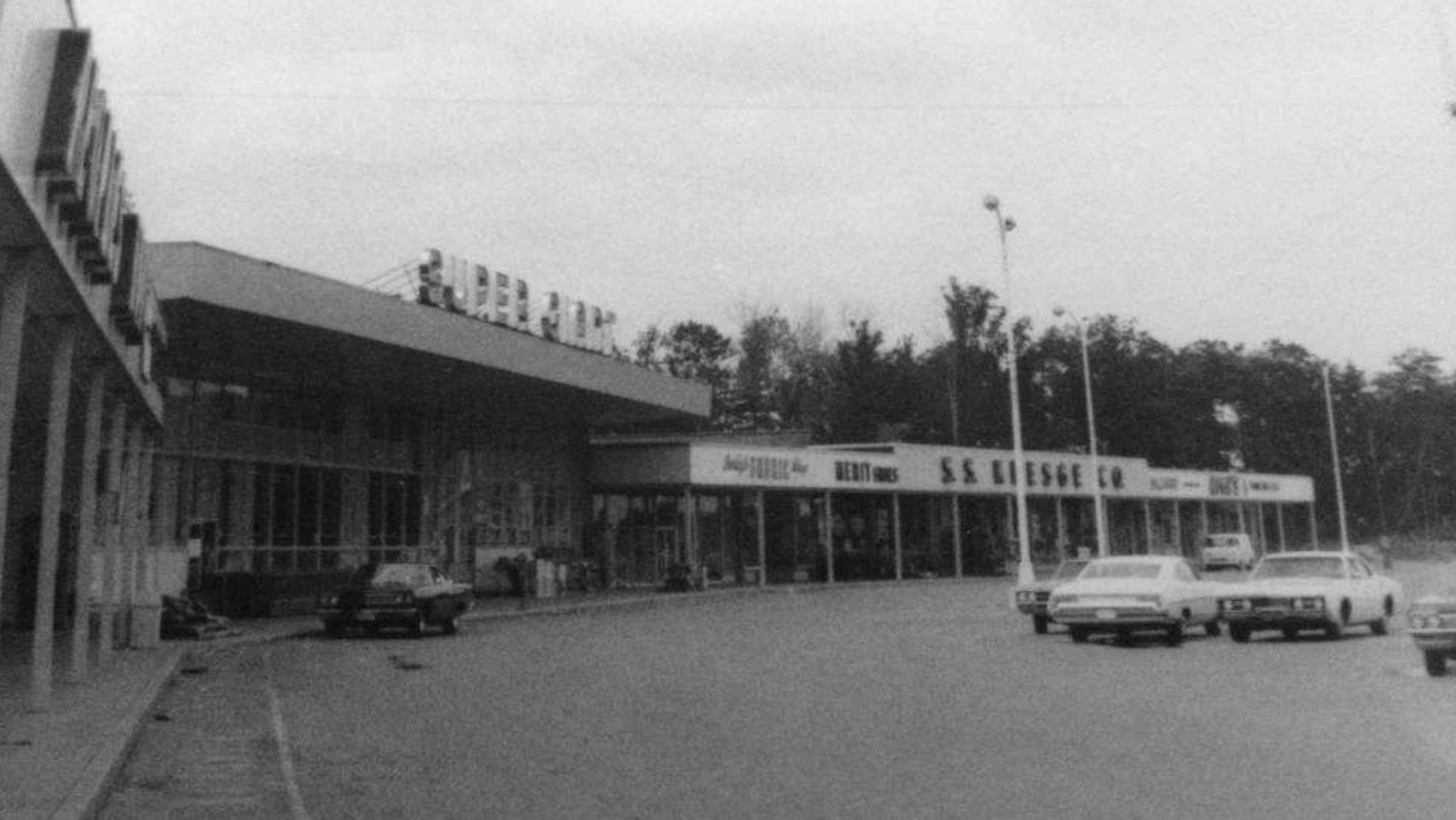 Springfield Plaza Shopping Center | Franconia History
