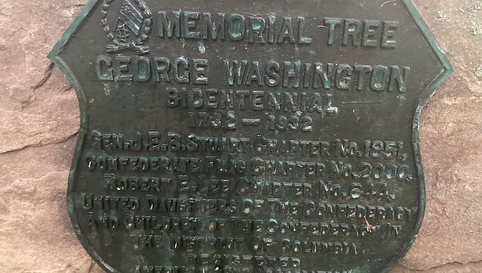 George Washington Memorial Tree | Franconia History