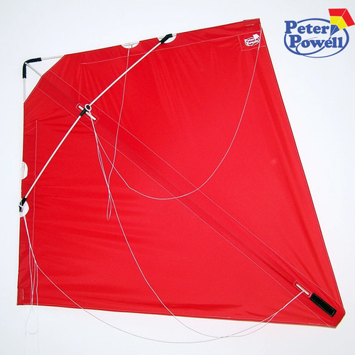 Peter Powell Stunter Kite | My Site