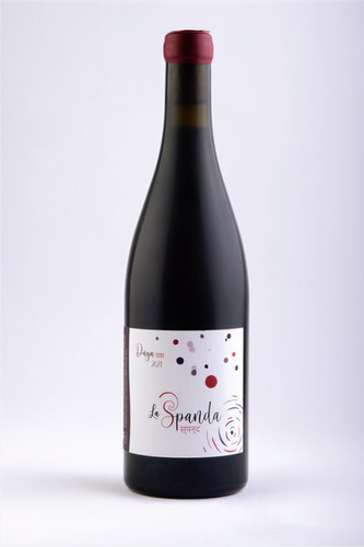 Daya 2022 - L'amour compassion | LA SPANDA