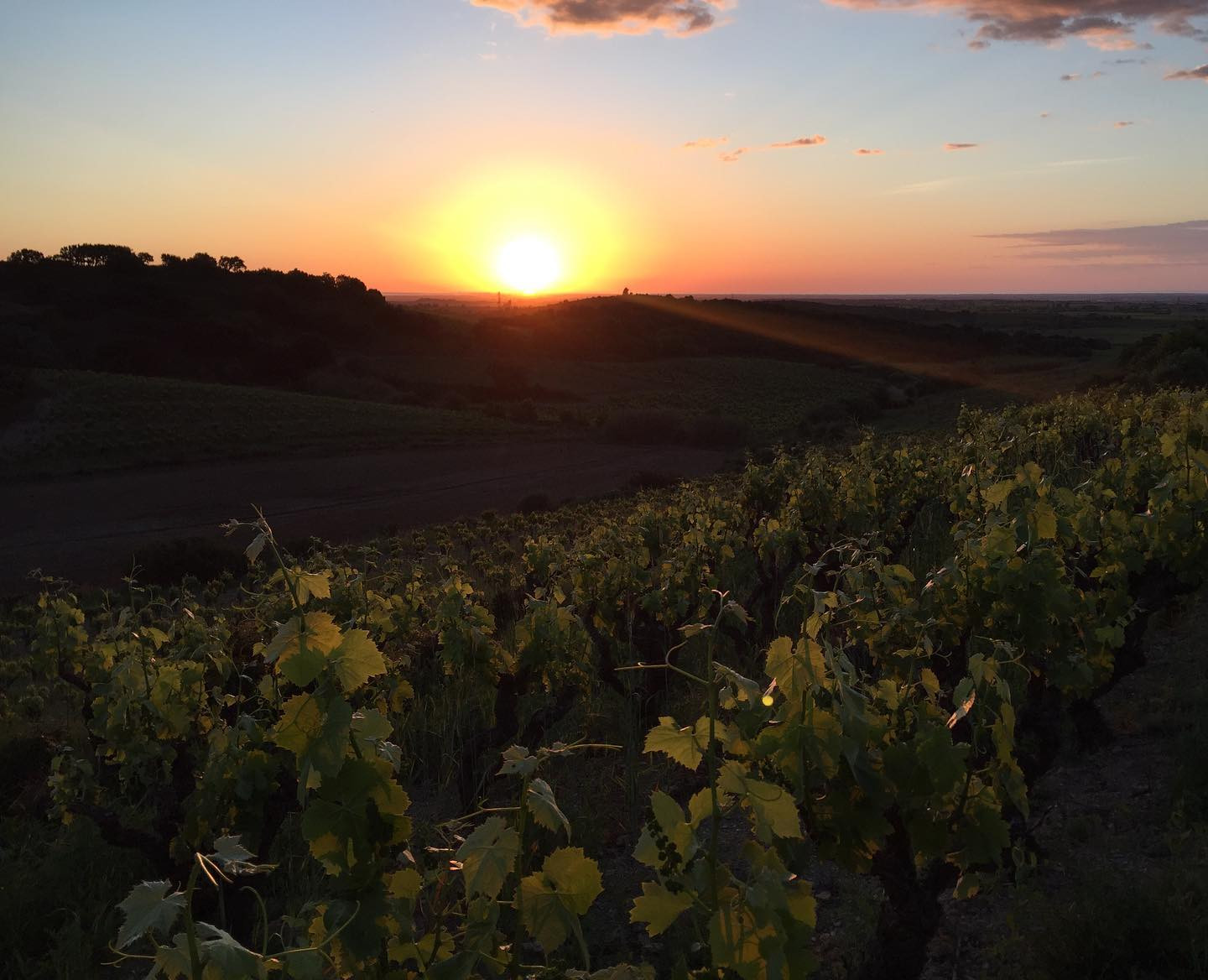 L'actualité | LA SPANDA