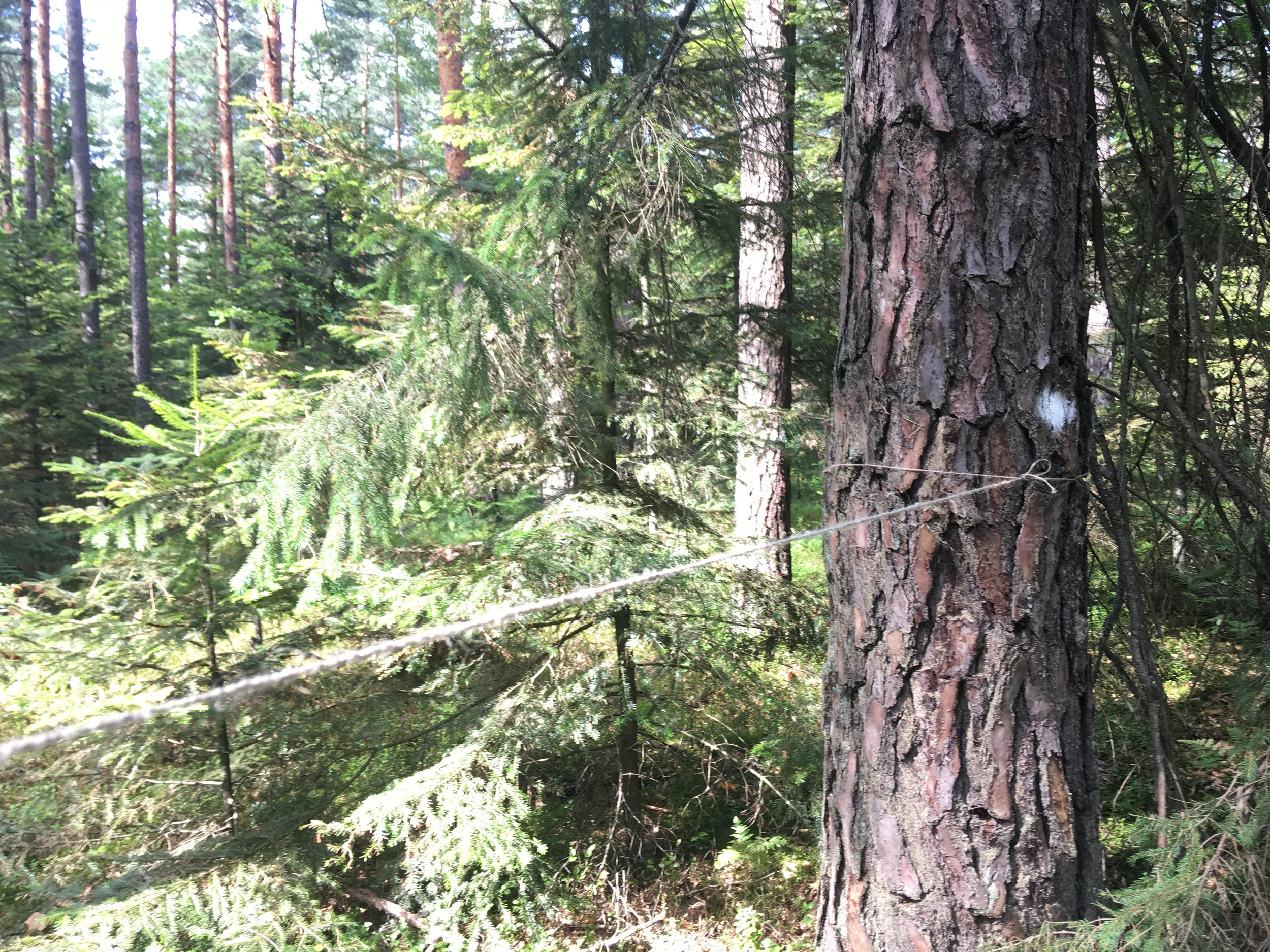 Counter Memory Activism