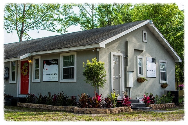 Jennie Evans Natural Med Spa | Spa | Jacksonville Florida