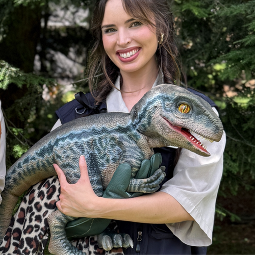 Character for Birthday | Dinosaur - Baby Raptor | Mystical Parties ...