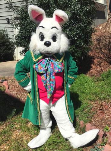 Princess for Parties | Easter Bunny - Green Jacket | Atlanta Character ...
