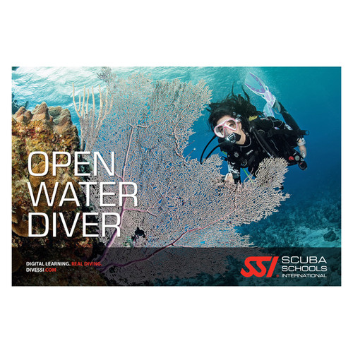 SSI OWD Class & Pool | The Dive Academy
