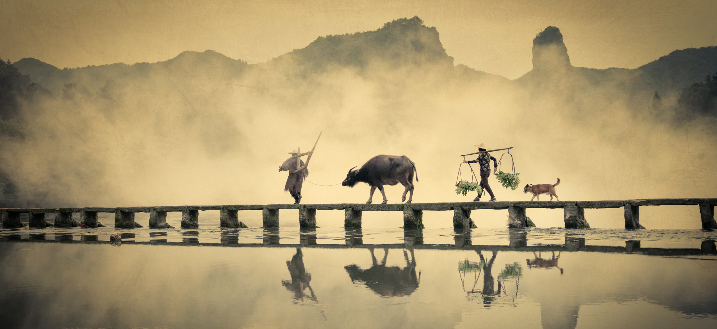 About William Yu Photo Workshops