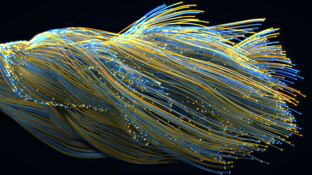 Introducing Rhizome Network