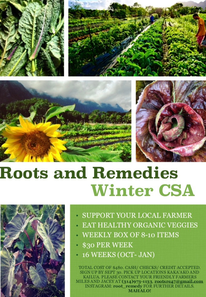 What is a CSA Bag & How Do I Get One?