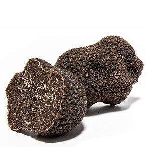 Buy Fresh Truffles | Taste of Truffles | United States