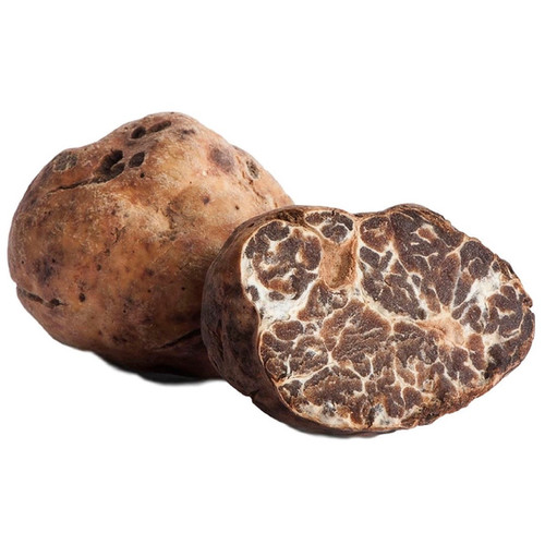 Fresh Bianchetto Truffles (Tuber Borchii Vitt) | Taste of Truffles