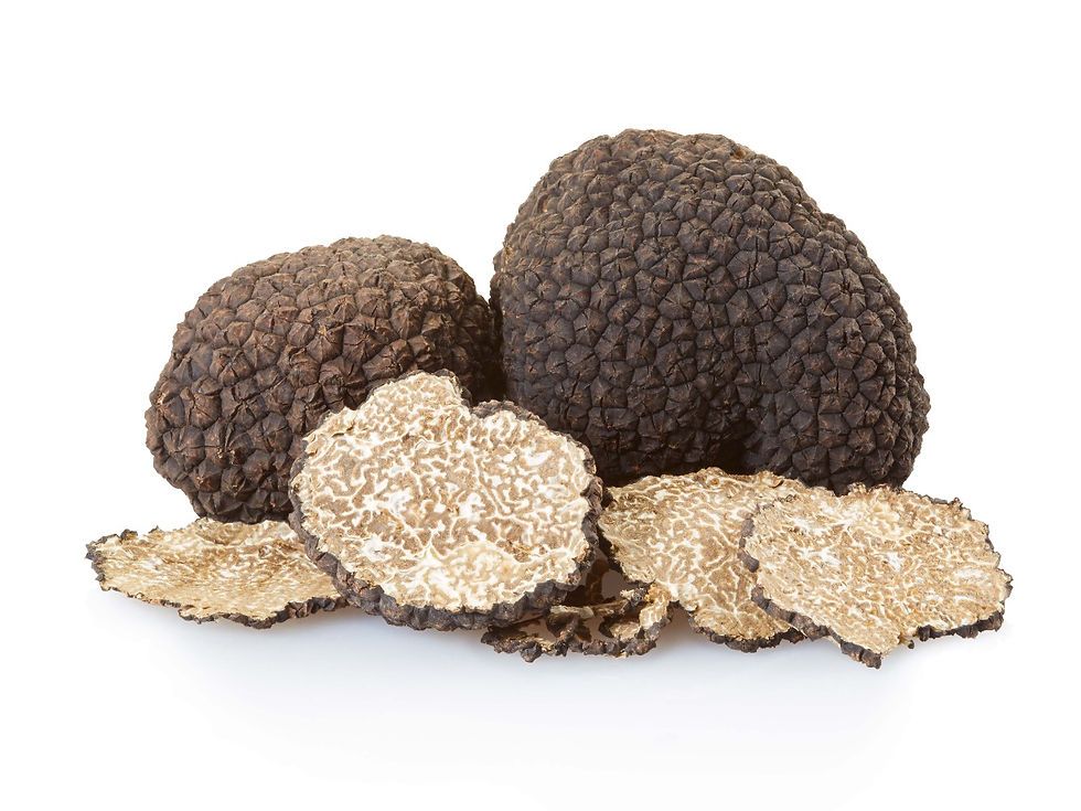 Fresh Burgundy Black Truffle (Tuber Uncinatum) | Taste of Truffles