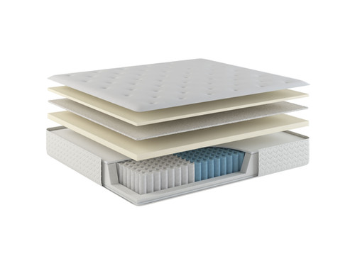 Digibun - Enchantment PT | CAPITAL BEDDING