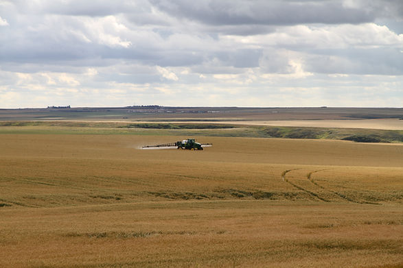 Reports (List) | Nuffield Canada