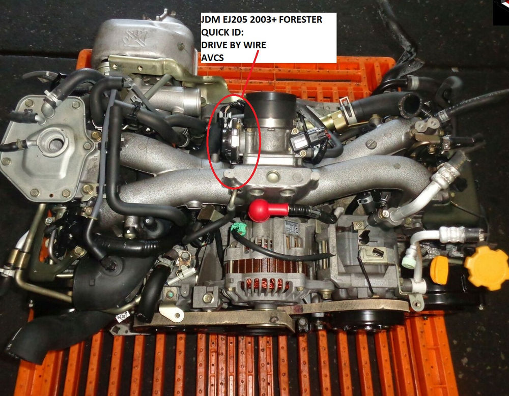 Subaru EJ205 Breakdown | iWire Subaru Wiring Solutions