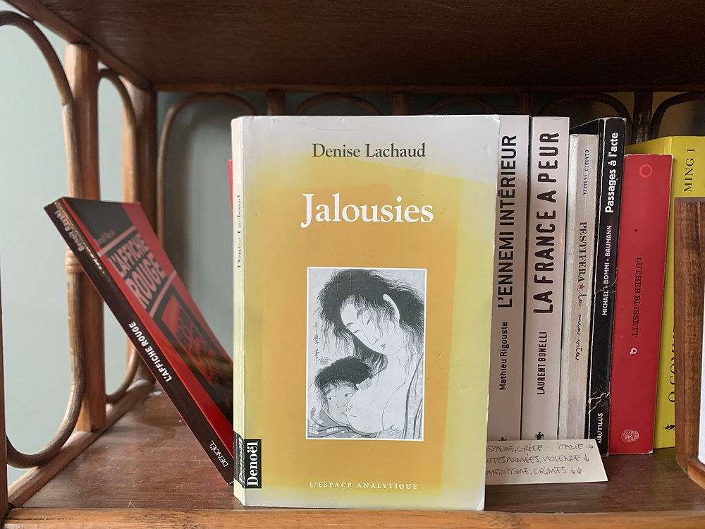 Jalousies (Denise Lachaud)_ Fiche de lecture_