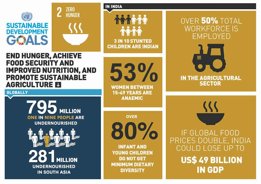 India's stance on SDG 2: Zero Hunger