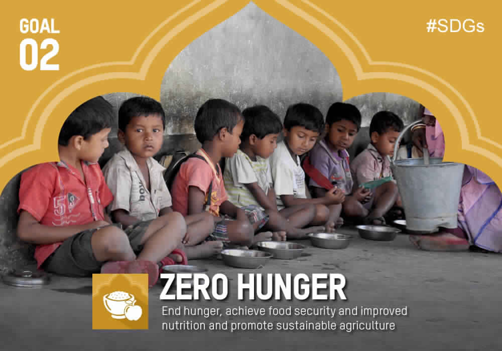 India's stance on SDG 2: Zero Hunger