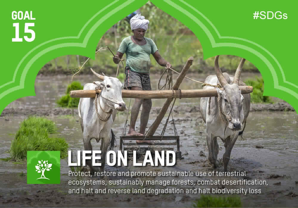 India's stance on SDG 15: Life on Land