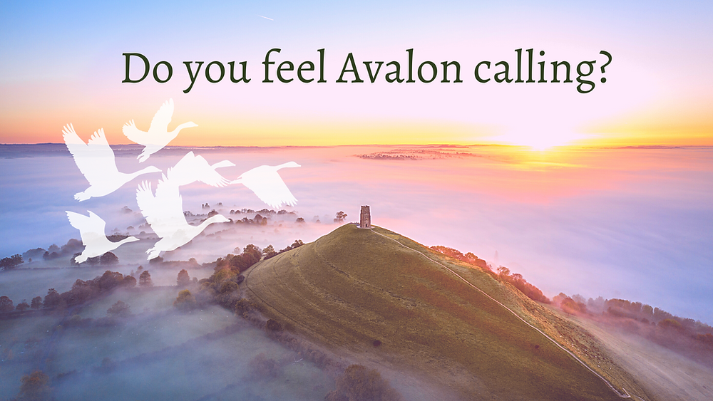 Avalon Calling Tree Mystic