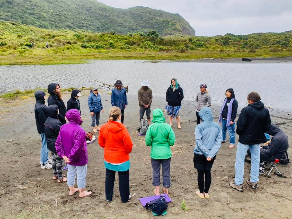 What is Forest Therapy and How Can it Change Your Life | Treemystic