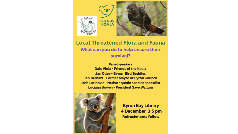 Local Threatened Flora and Fauna | Save Wallum