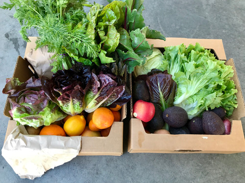 Large Produce Box | Napa Wild