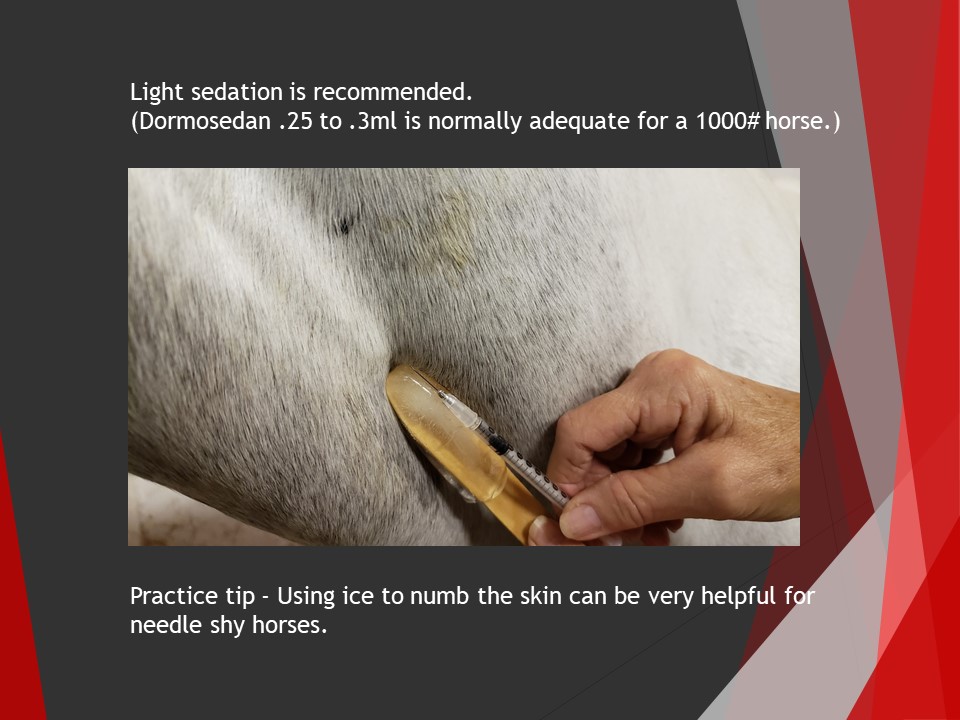 Equine Digital Venogram by Ric Redden DVM