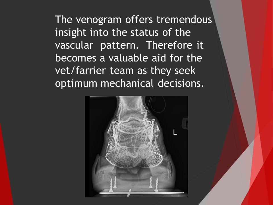 Equine Digital Venogram by Ric Redden DVM