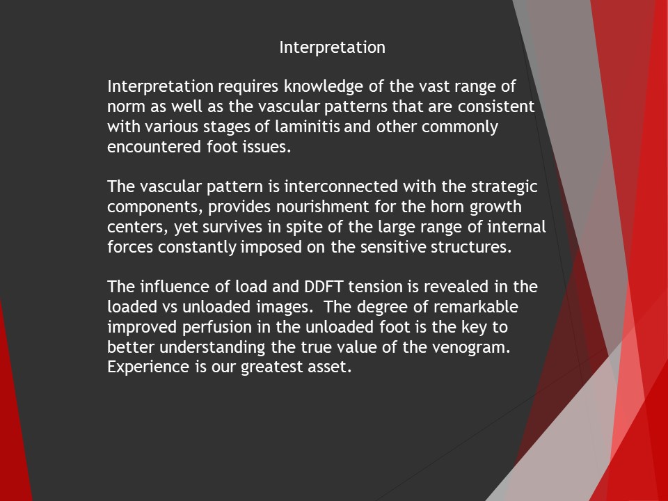Equine Digital Venogram by Ric Redden DVM