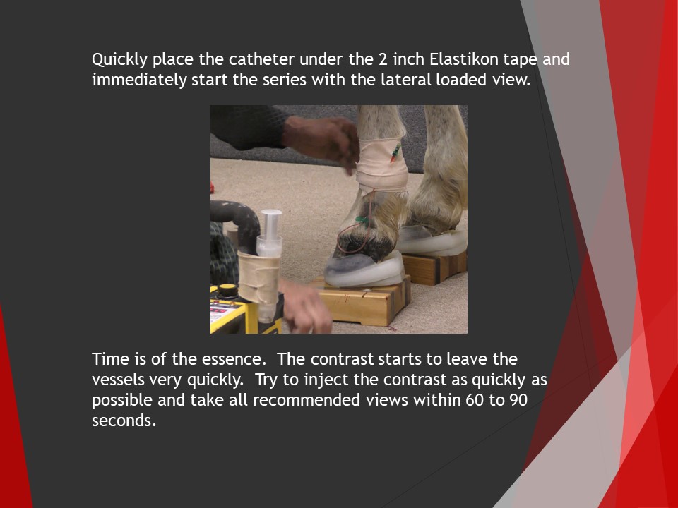 Equine Digital Venogram by Ric Redden DVM