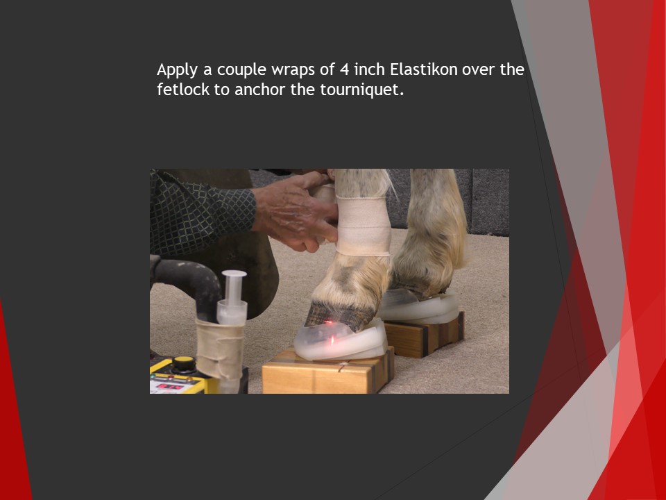 Equine Digital Venogram by Ric Redden DVM