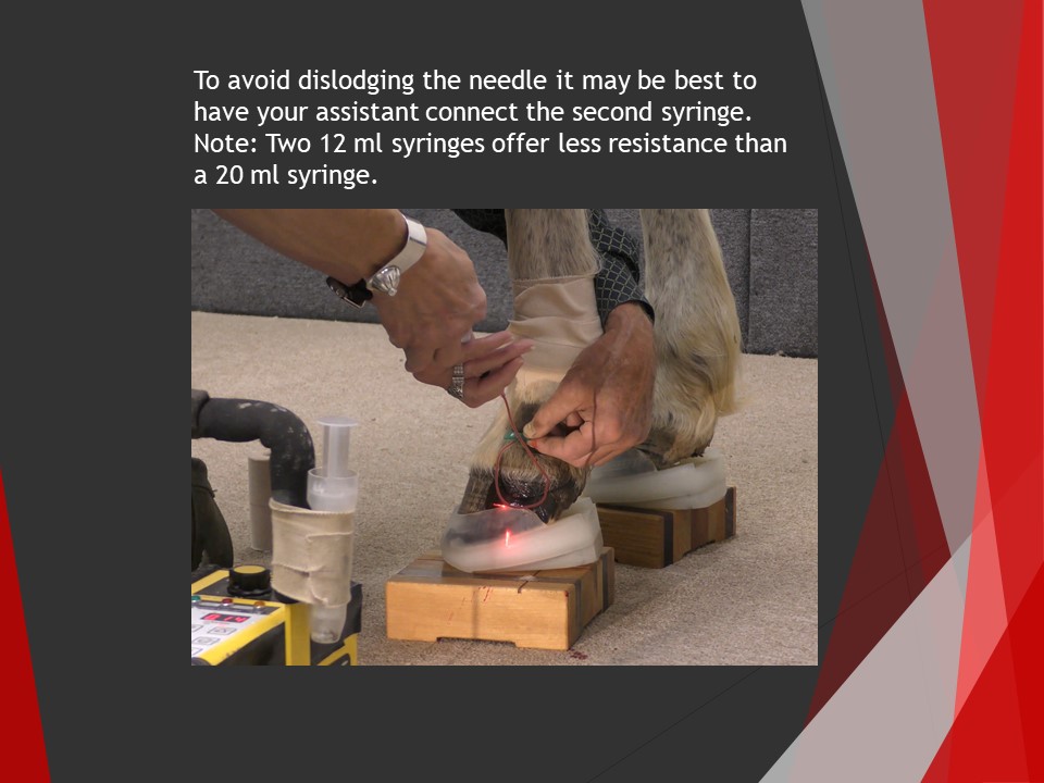 Equine Digital Venogram by Ric Redden DVM