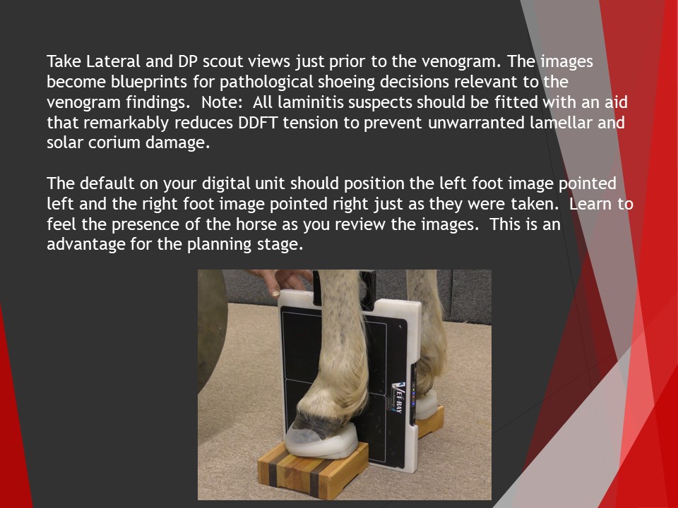 Equine Digital Venogram by Ric Redden DVM