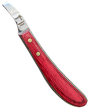 Bassoli Becca Loop Blade Knife | NANRIC