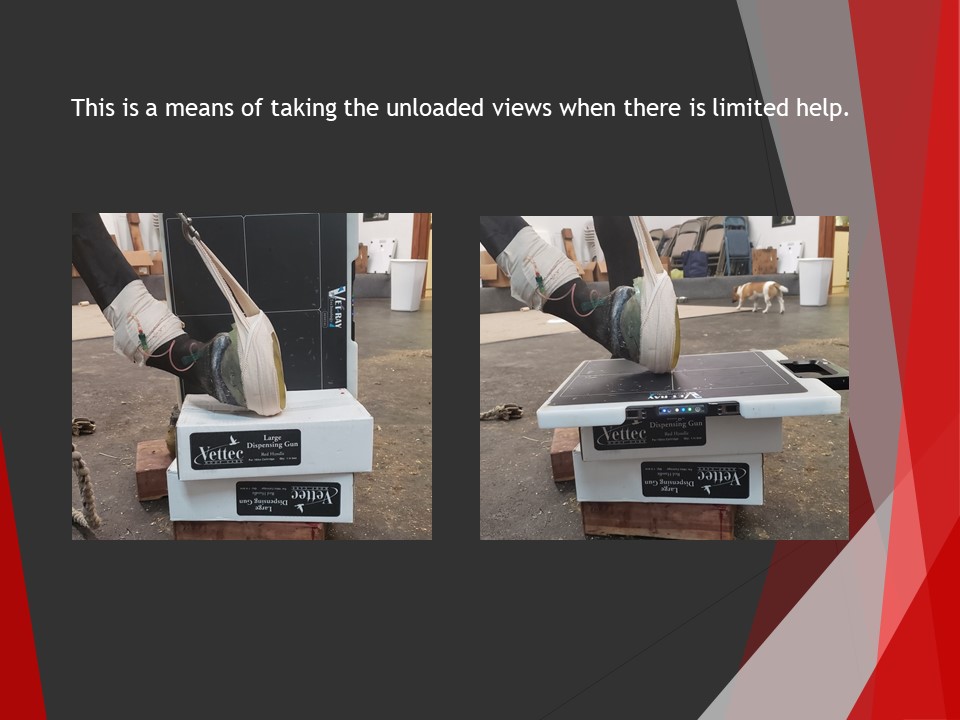 Equine Digital Venogram by Ric Redden DVM